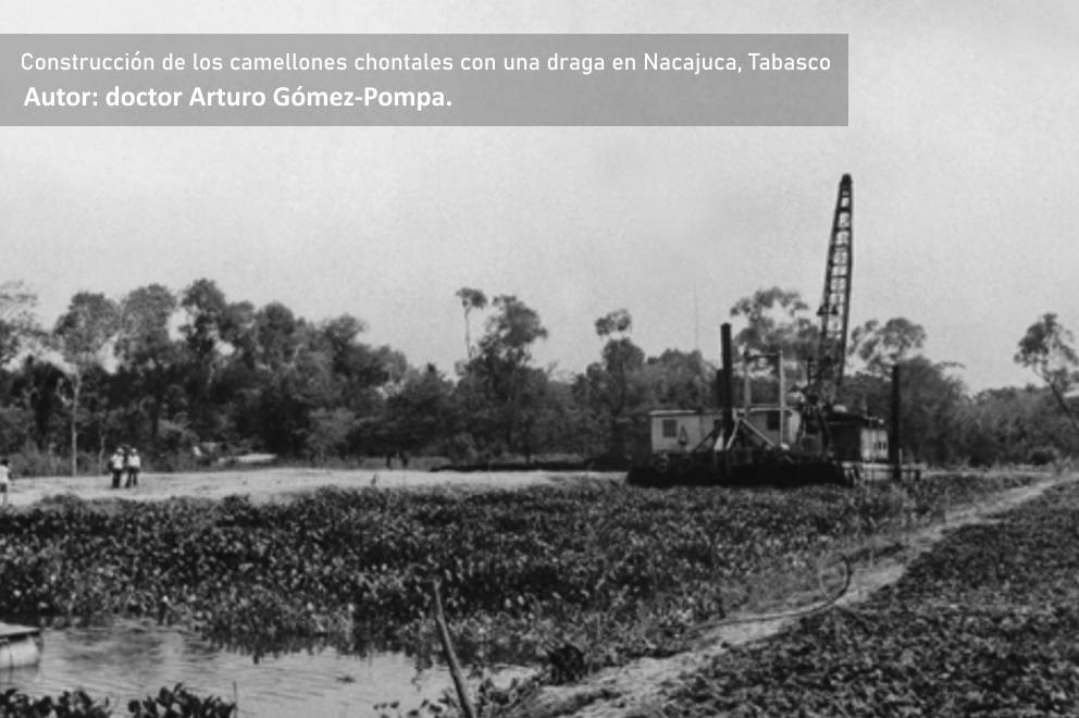 DeTabascoSoy | Camellones Chontales